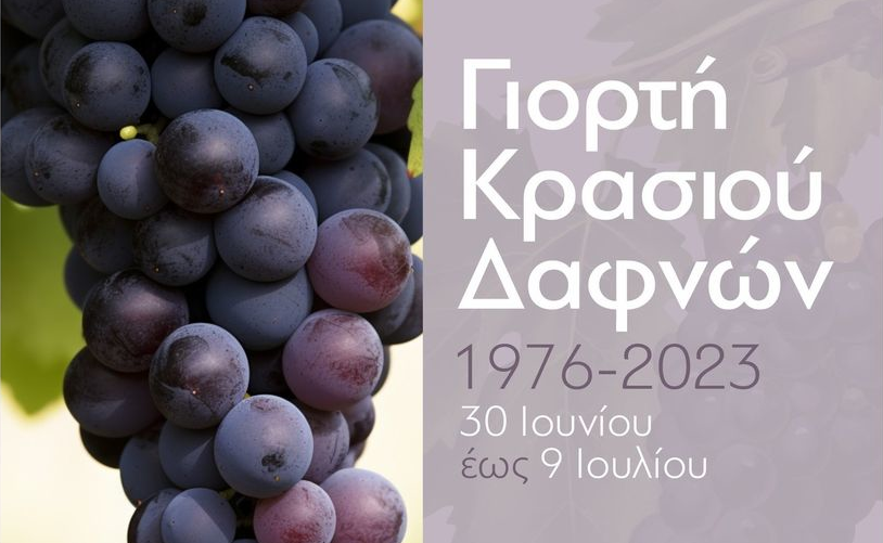 Δαφνές , στο προσκήνιο τα αμπελοτόπια και οι οίνοι της περιοχής ...